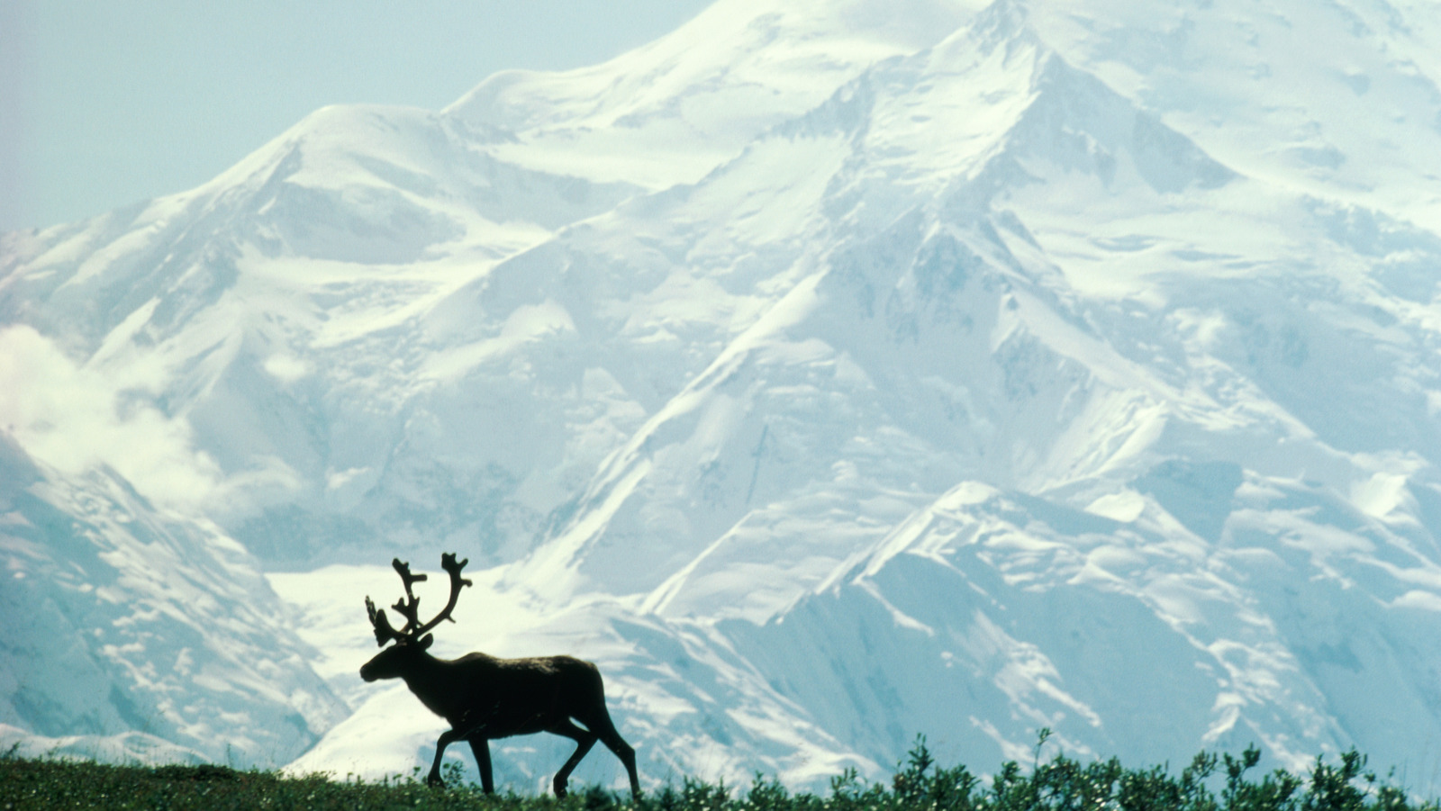 11 Things Tourists Should Never Do When Visiting Alaska