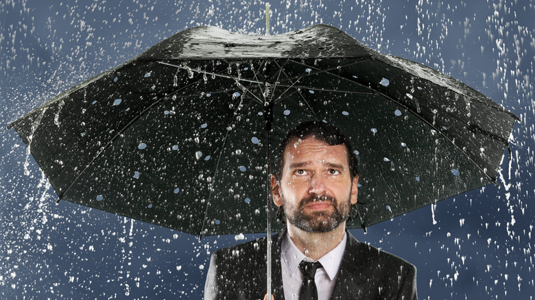 13 Ways To Predict The Weather: Watch For These Signs In Nature