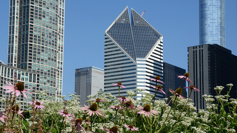 51 Movie Locations You Can Actually Visit