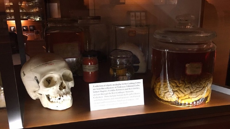 51 Roadside Attractions You Need To See To Believe