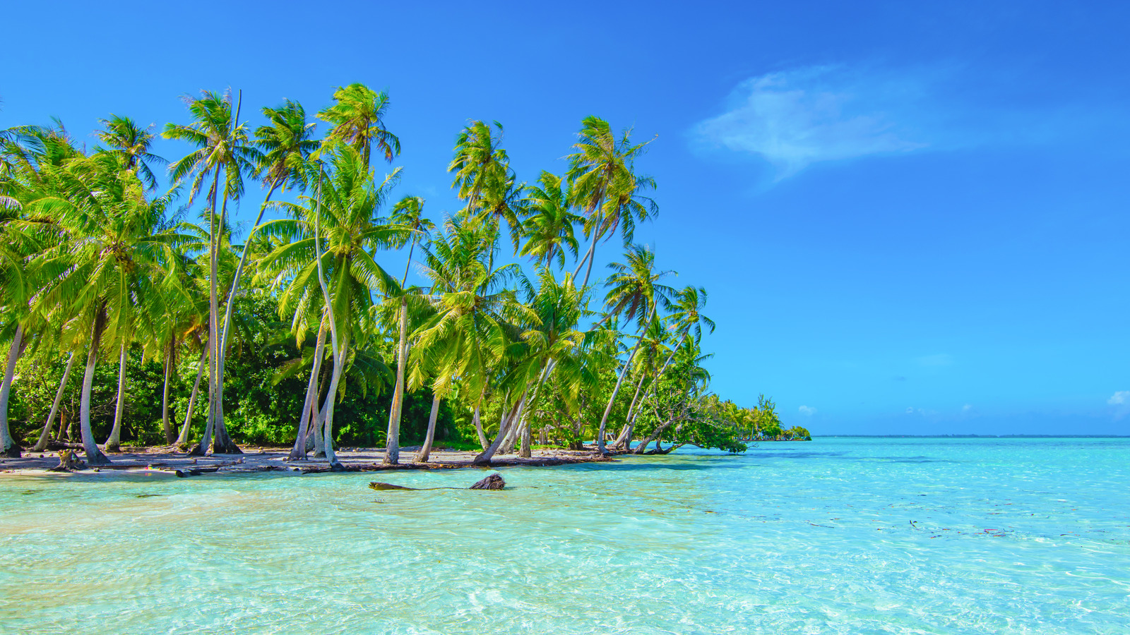 Dreamy Ra'iātea In French Polynesia Is The Ultimate Island Getaway