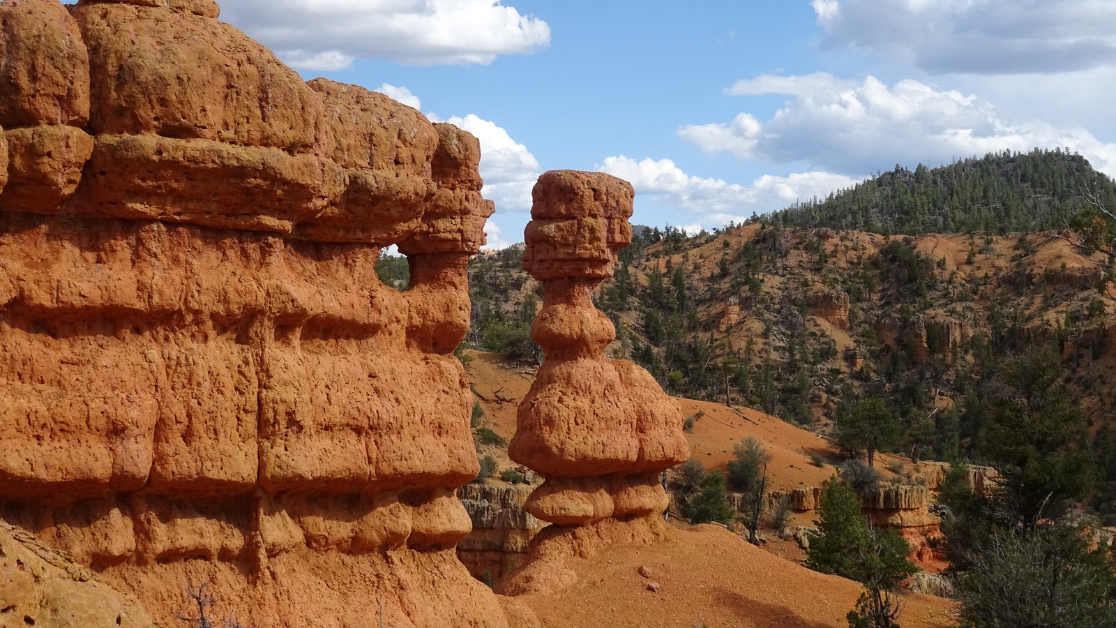 A Massive National Forest In Utah Offers Picture-Perfect Views ...