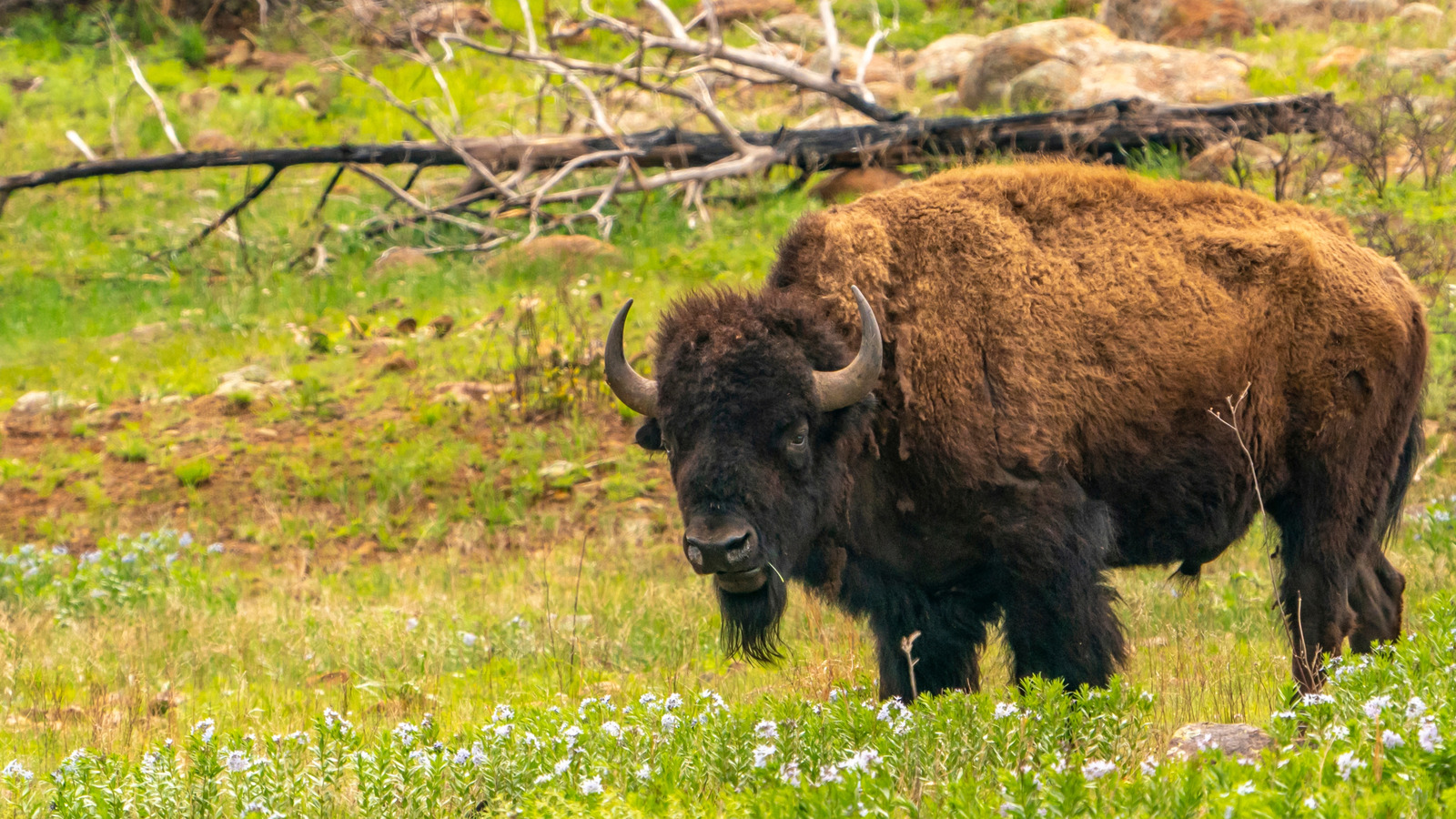 A Mountain Refuge Hidden In Southern Oklahoma Is A Hiker's Dream With ...
