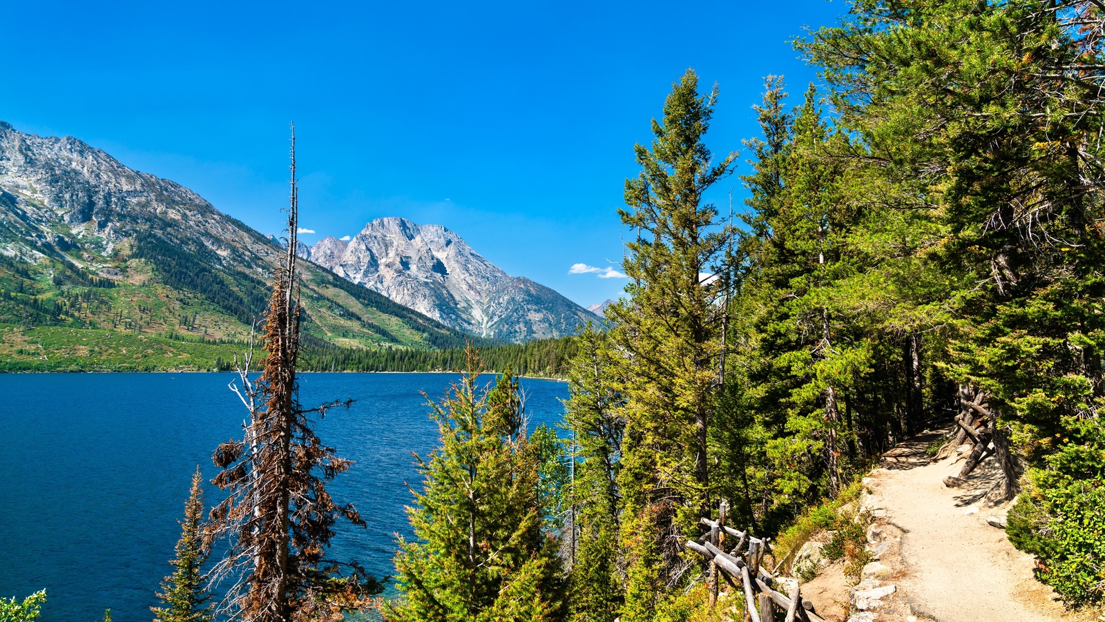 Grand Teton's Jenny Lake Trail Is Ideal For Outdoor Adventure Lovers