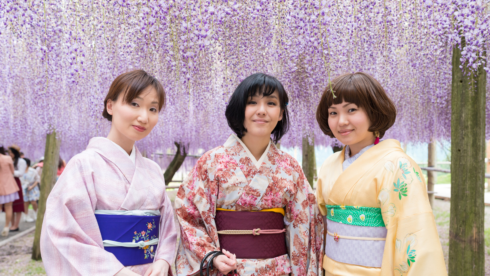 A Secluded Japanese Garden Is Home To The Most Mesmerizing Colorful Blooms