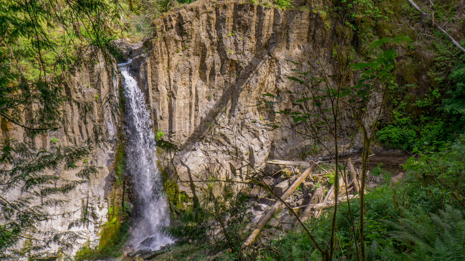 A West Coast National Forest Is Home To Two Waterfalls Called The ...