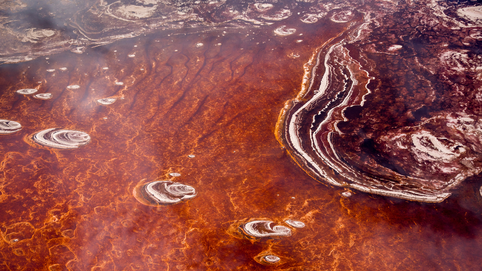 Africa's Bright Red Lake Natron Supposedly Turns Animals To Stone ...