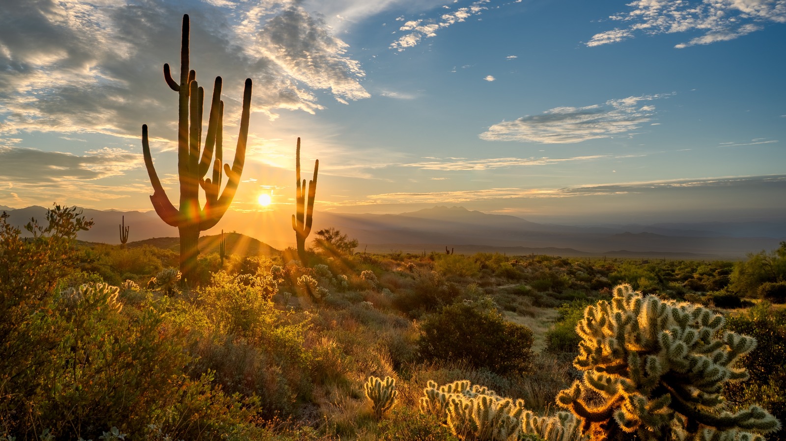 America's Coolest Desert Towns To Add To Your Bucket List