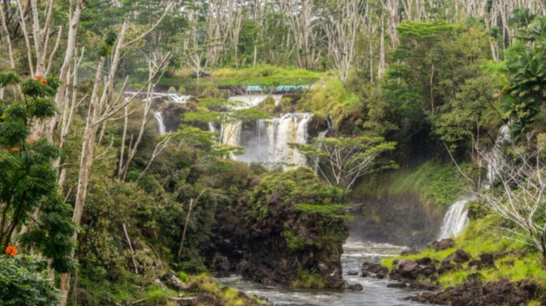 America's Most Beautiful Waterfalls You Can Actually Swim In