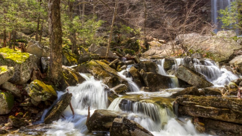 America's Most Beautiful Waterfalls You Can Actually Swim In