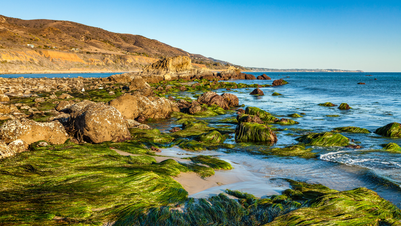 An Underappreciated State Park In California Boasts A Gorgeous Beach ...