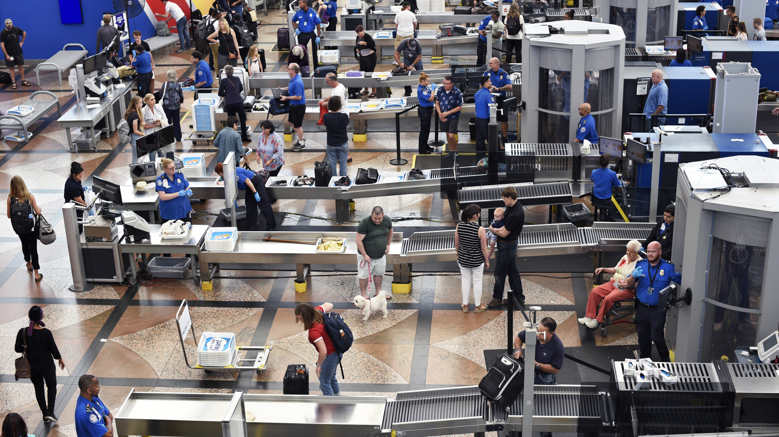 It Seems As Though TSA's Body Scanners Take A Liking To Curvier Bodies