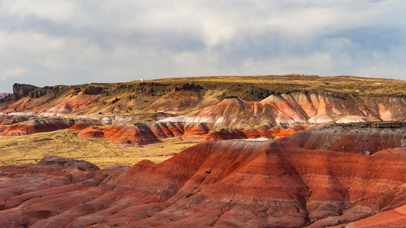 Arizona's Awe-Inspiring National Park Boasts Fossils And The Most ...