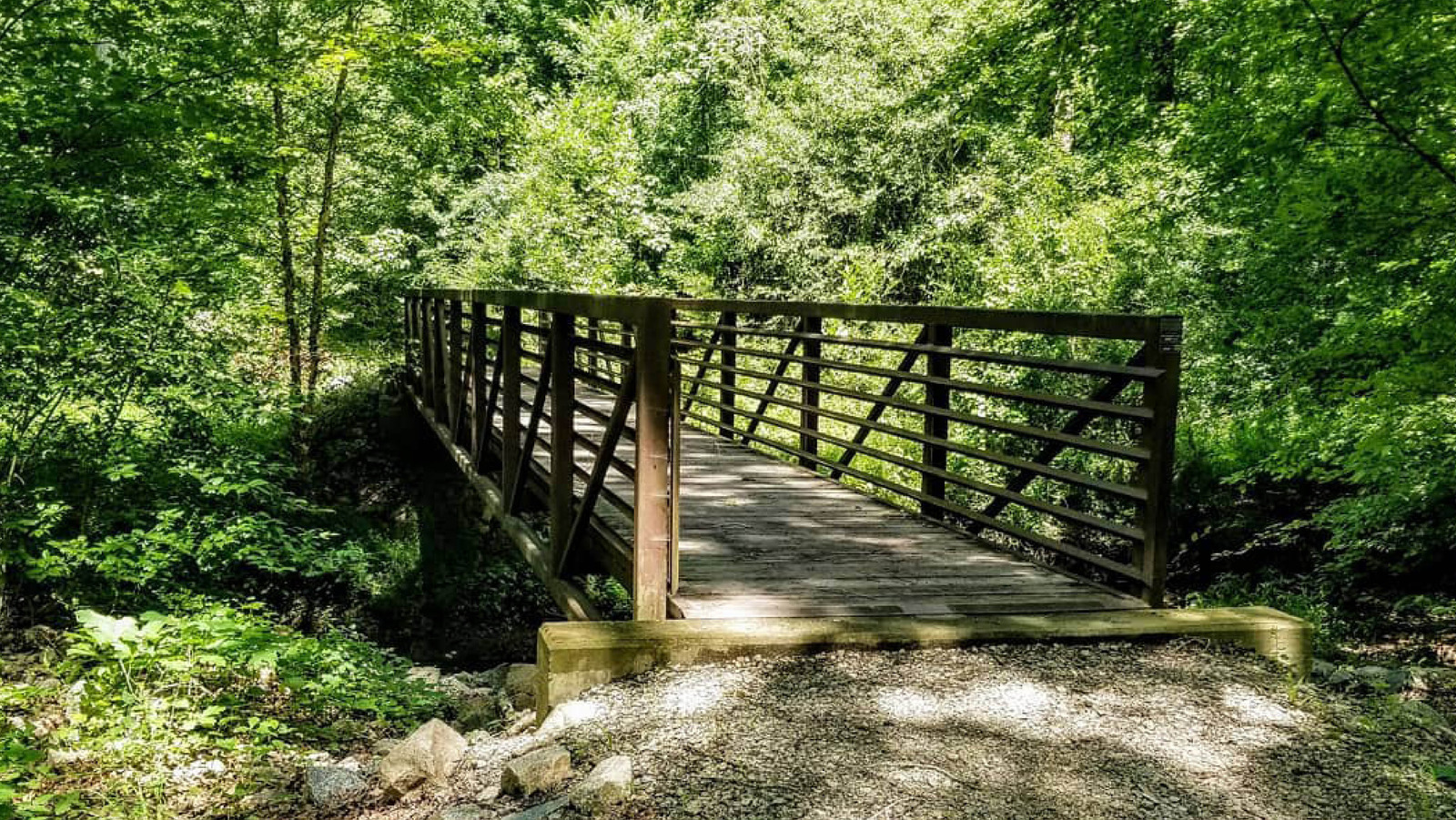 Bask In The Peaceful Outdoors At This Lush North Carolina State Park ...