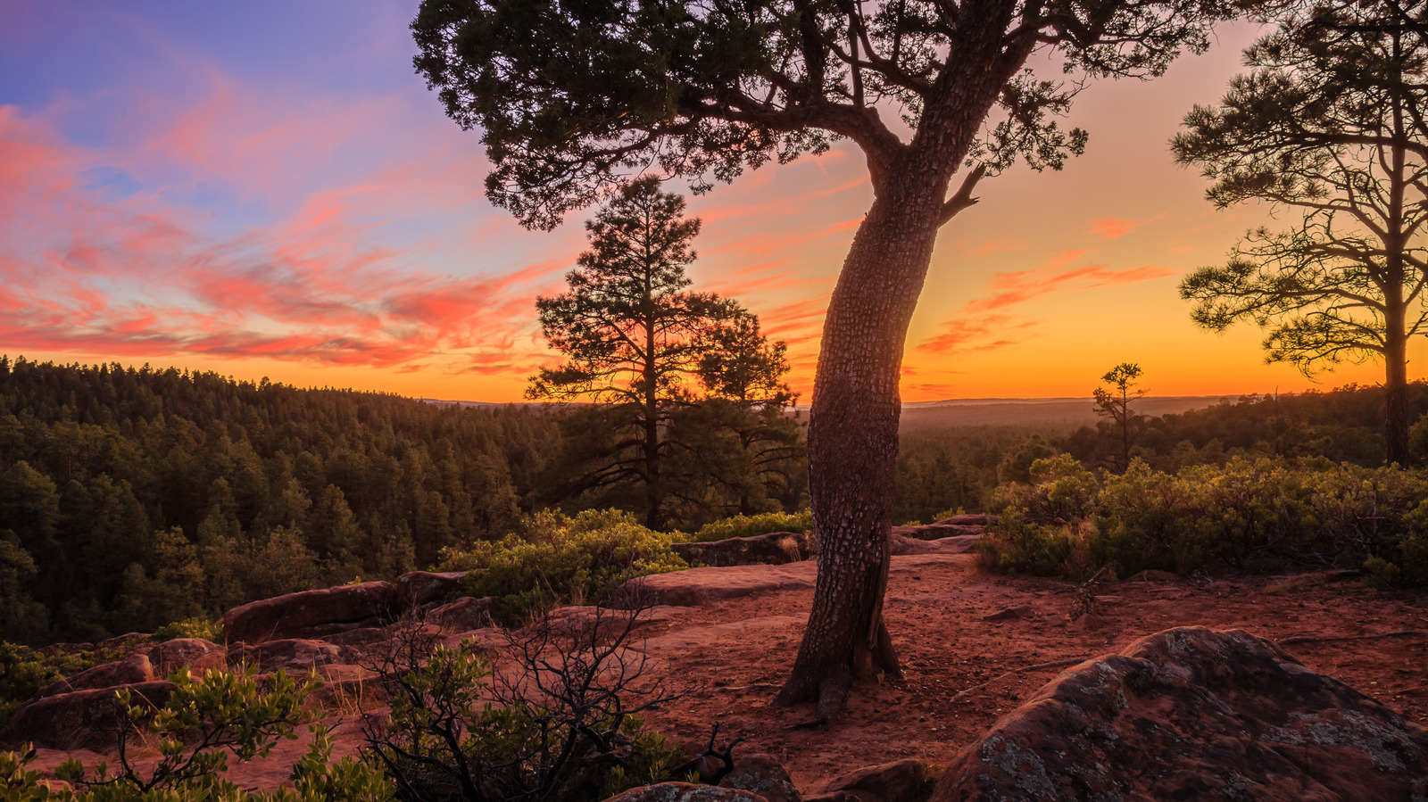 Visit Arizona's Pinetop-Lakeside For Clear Lakes And Outdoor Activities
