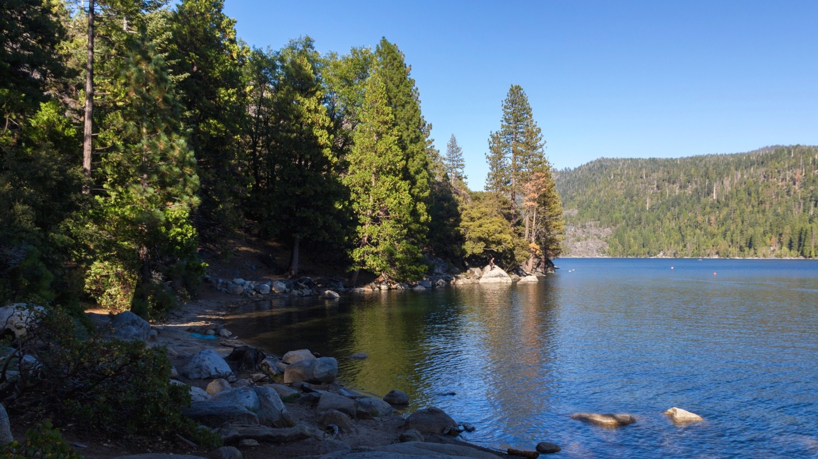 California's Stanislaus National Forest Is Home To This Underrated Lake ...
