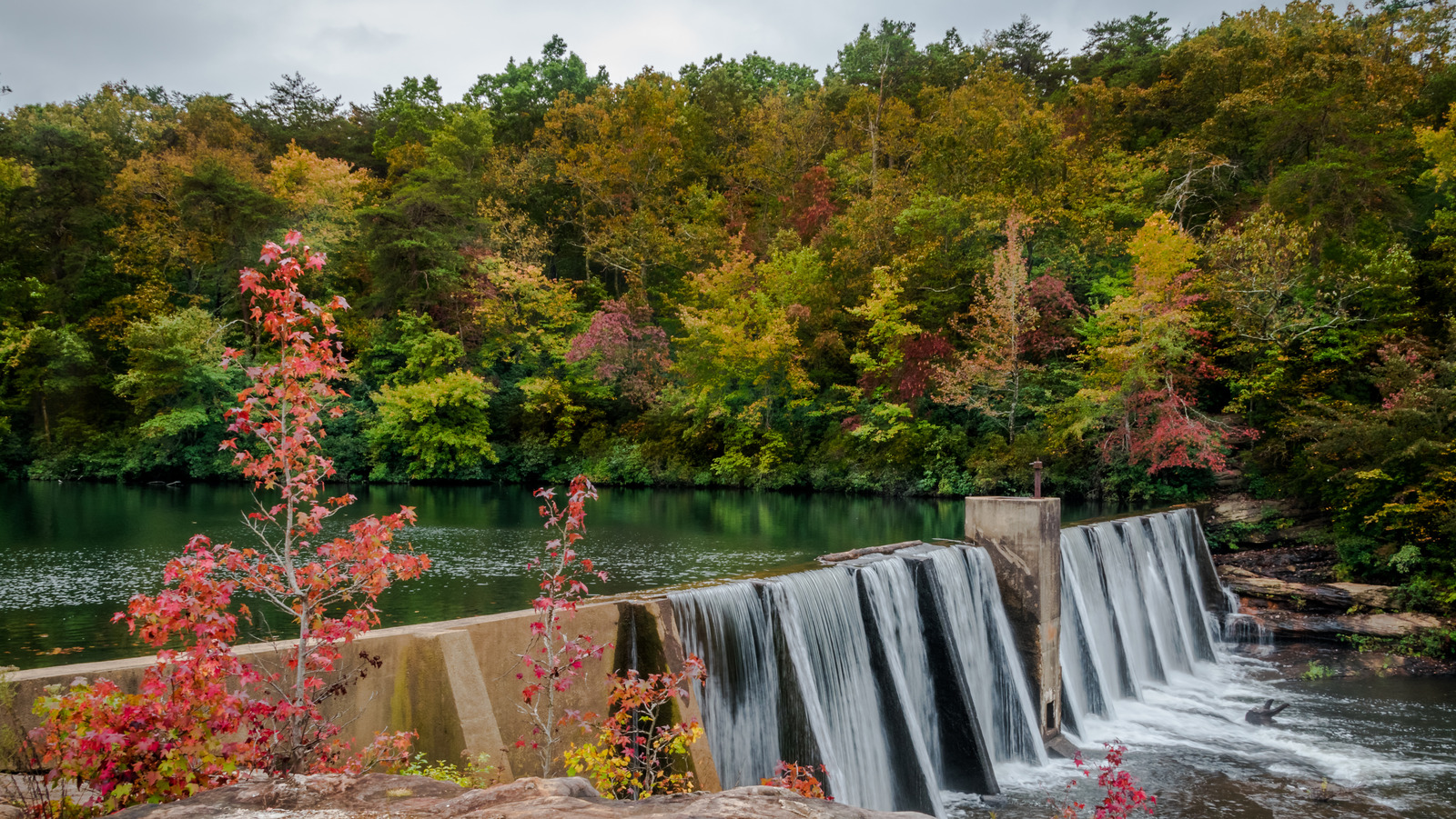 Camp Alongside Beautiful Scenery At This Southern US State Park