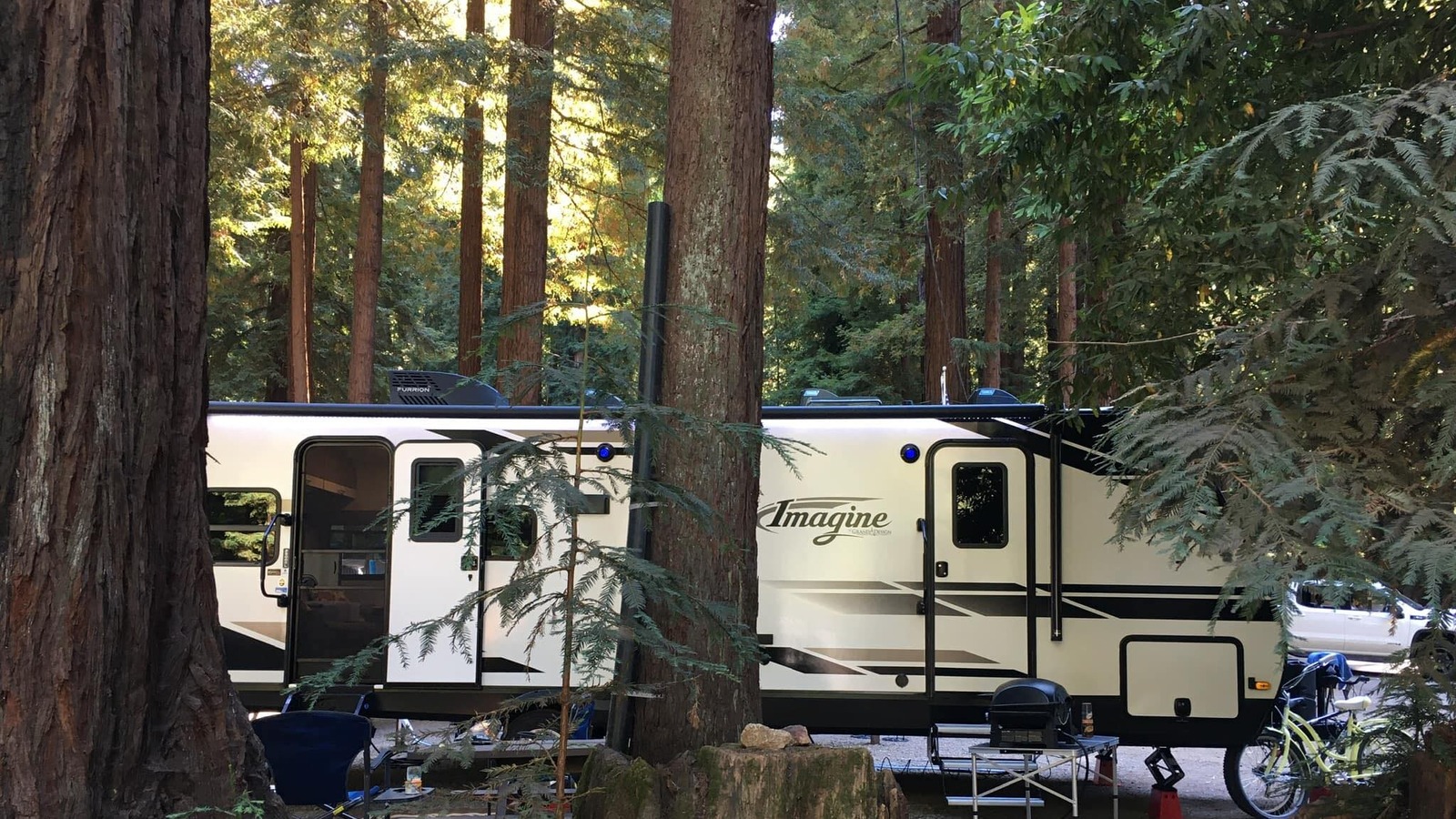 Camp Among Gigantic Trees At Santa Cruz Redwoods RV Resort In California