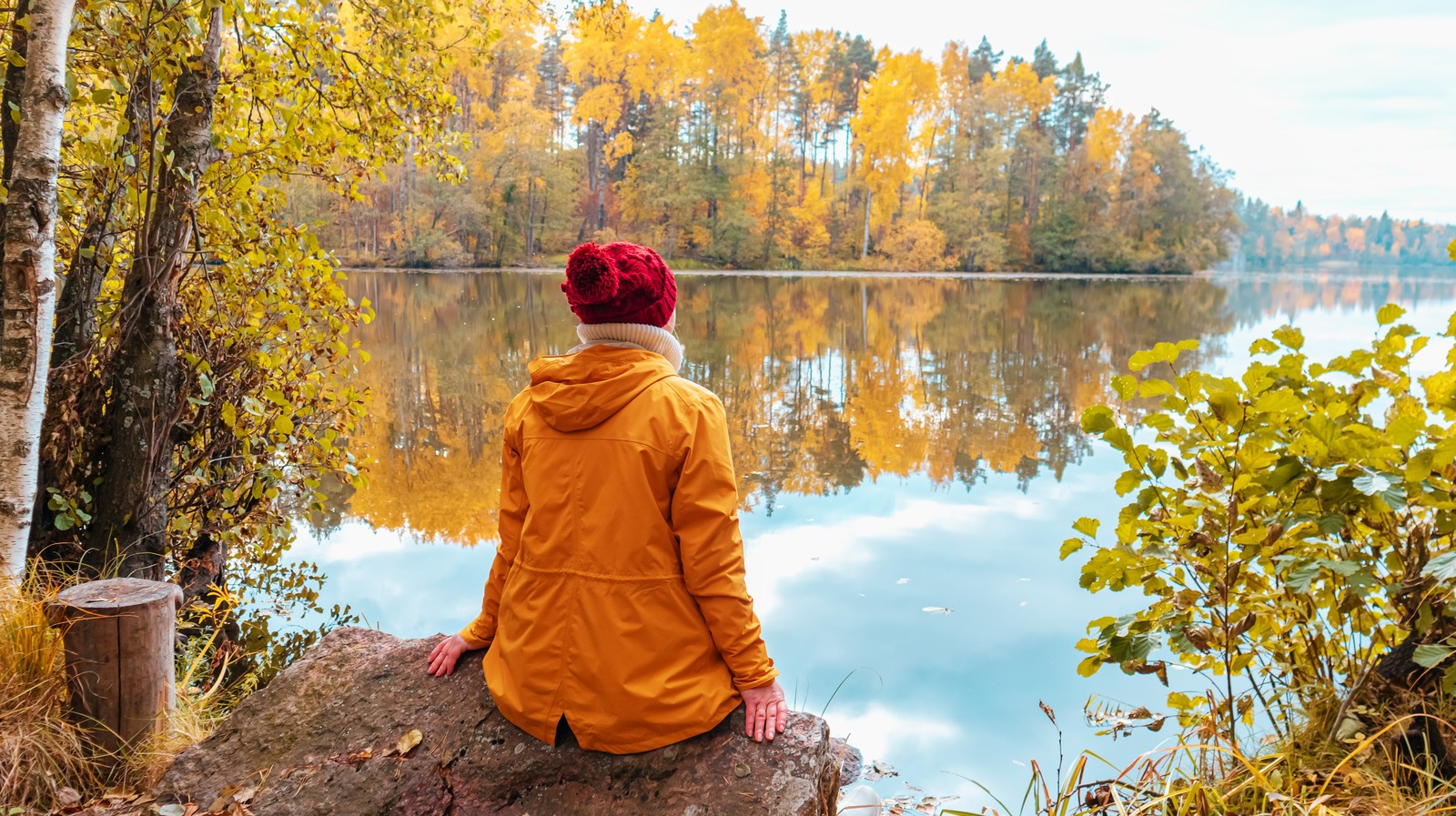 Enjoy Stunning Fall Scenery At Indiana's Morgan Monroe State Forest