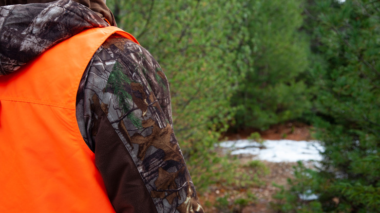 Campers And Hikers Agree That Wearing This Clothing Color Is Smart ...