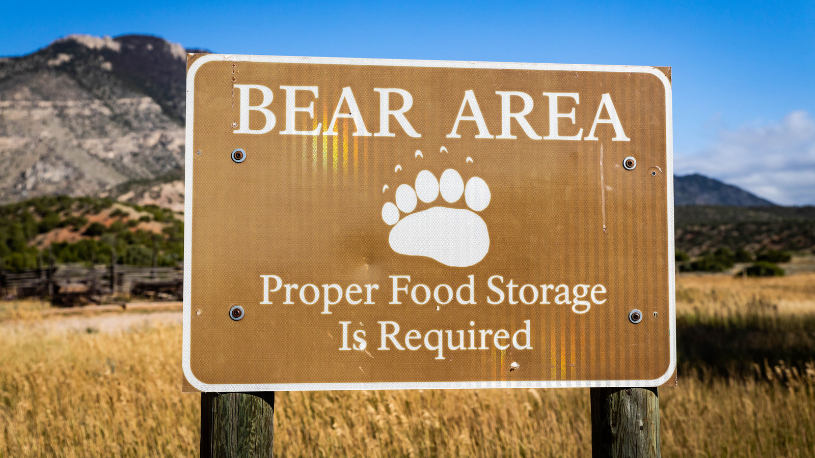 Car Campers & Overlanders Swear By This Pricey, Bear-Resistant Storage ...