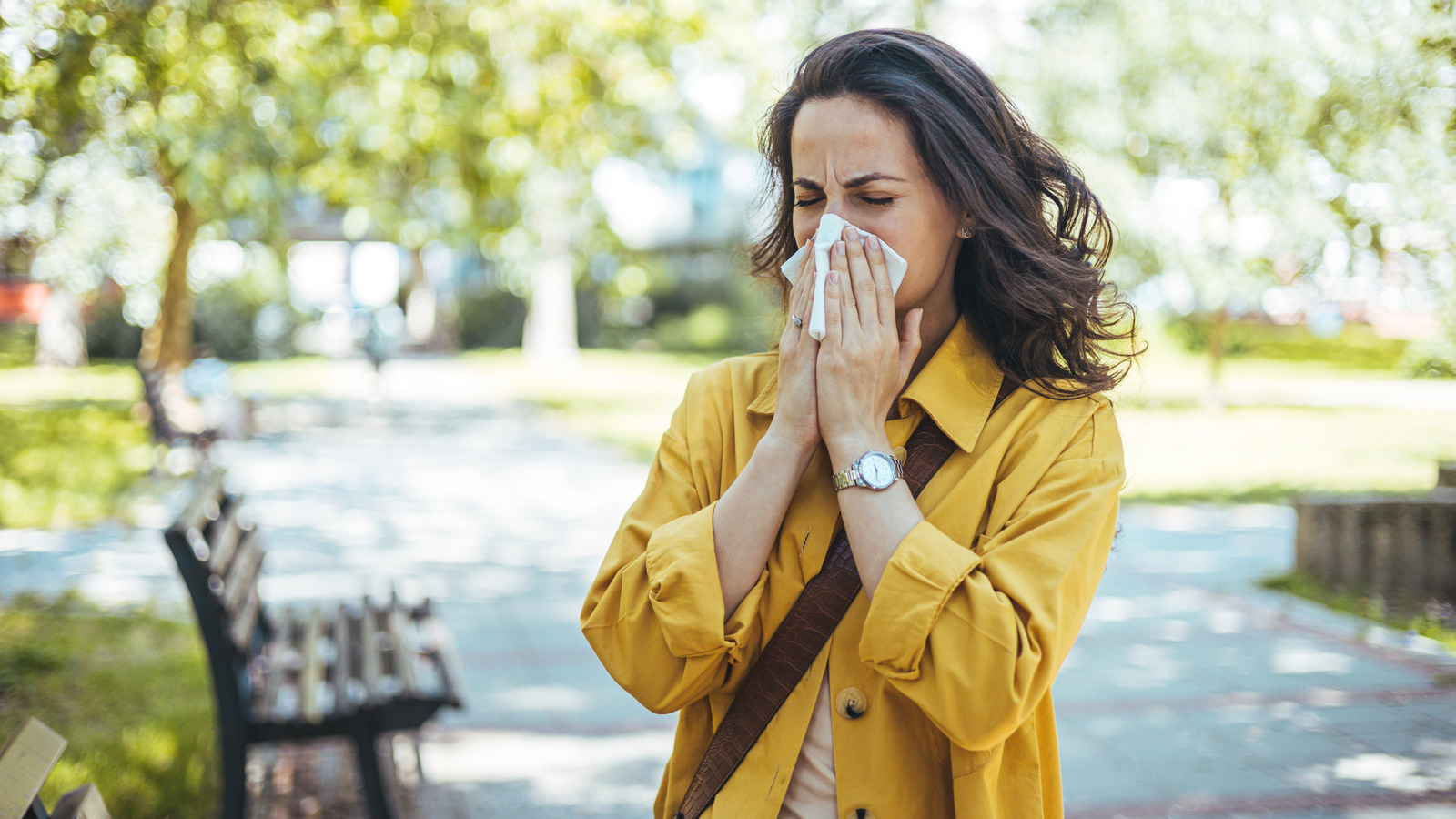 Countries Where It's Considered Rude And Repulsive To Blow Your Nose In ...