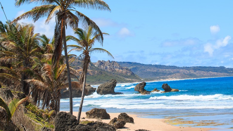 Don't You Dare: 10 Of The World's Most Dangerous Places To Swim