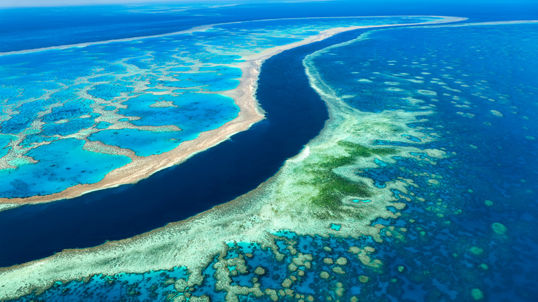 Don't You Dare: 10 Of The World's Most Dangerous Places To Swim