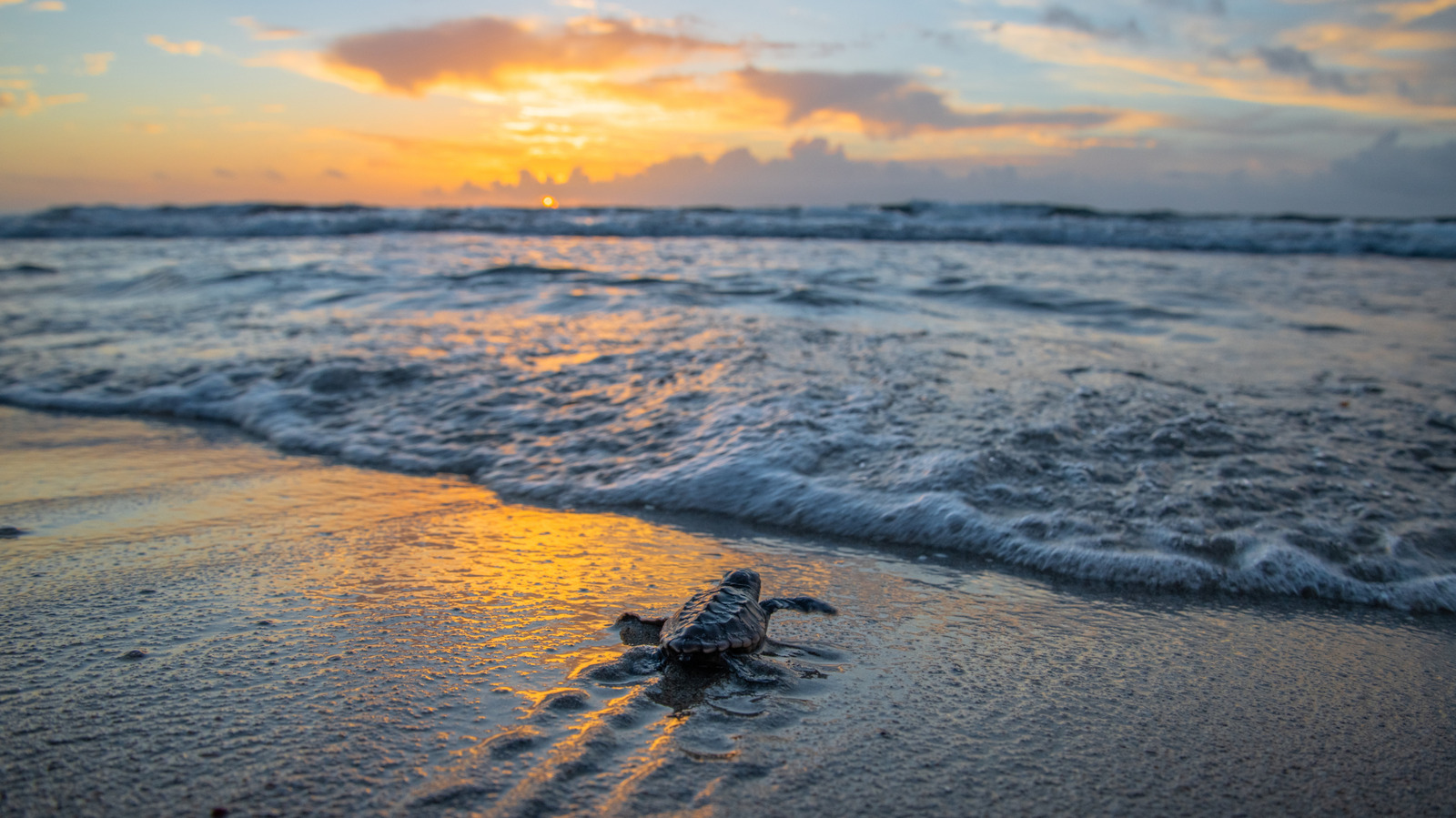 Enjoy A Quintessential Seaside Adventure At This Florida Campground