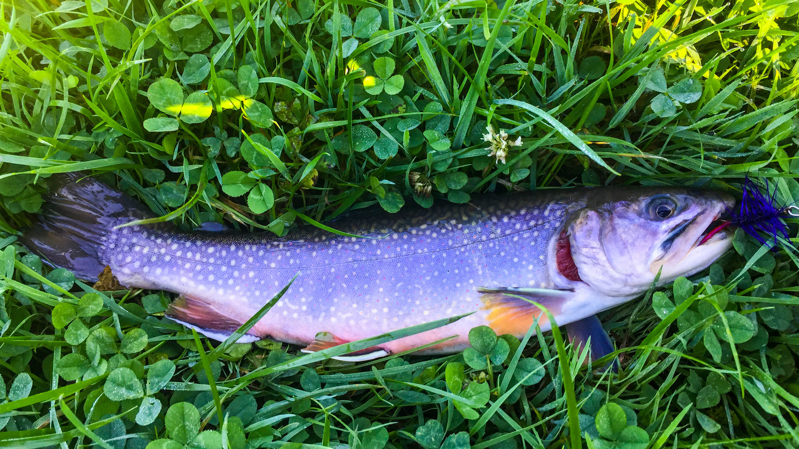 Enjoy Incredible Fishing At This Beautiful Midwest State Park