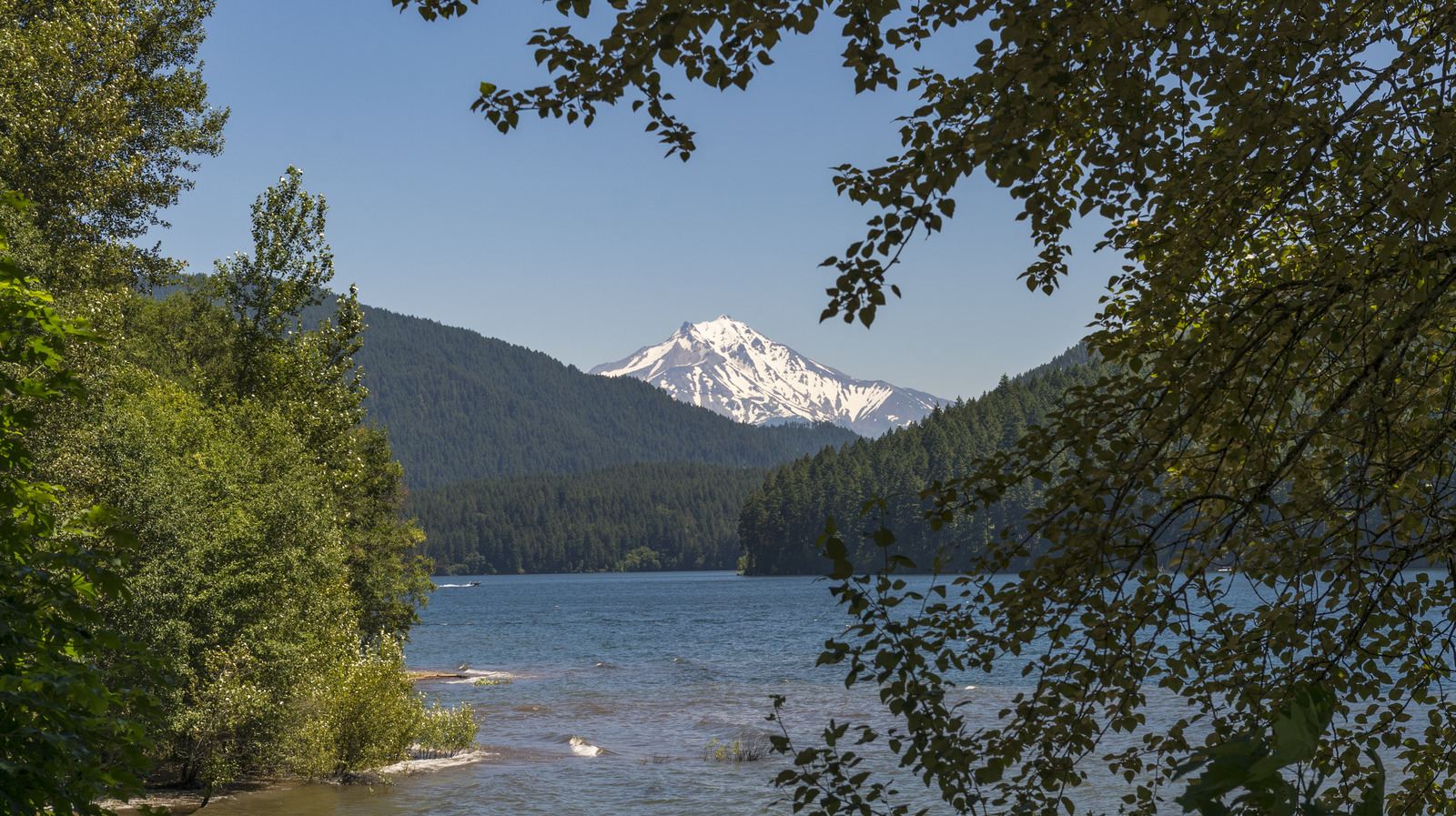 Escape Into Nature At These Secluded, Spacious Campsites On Oregon's ...
