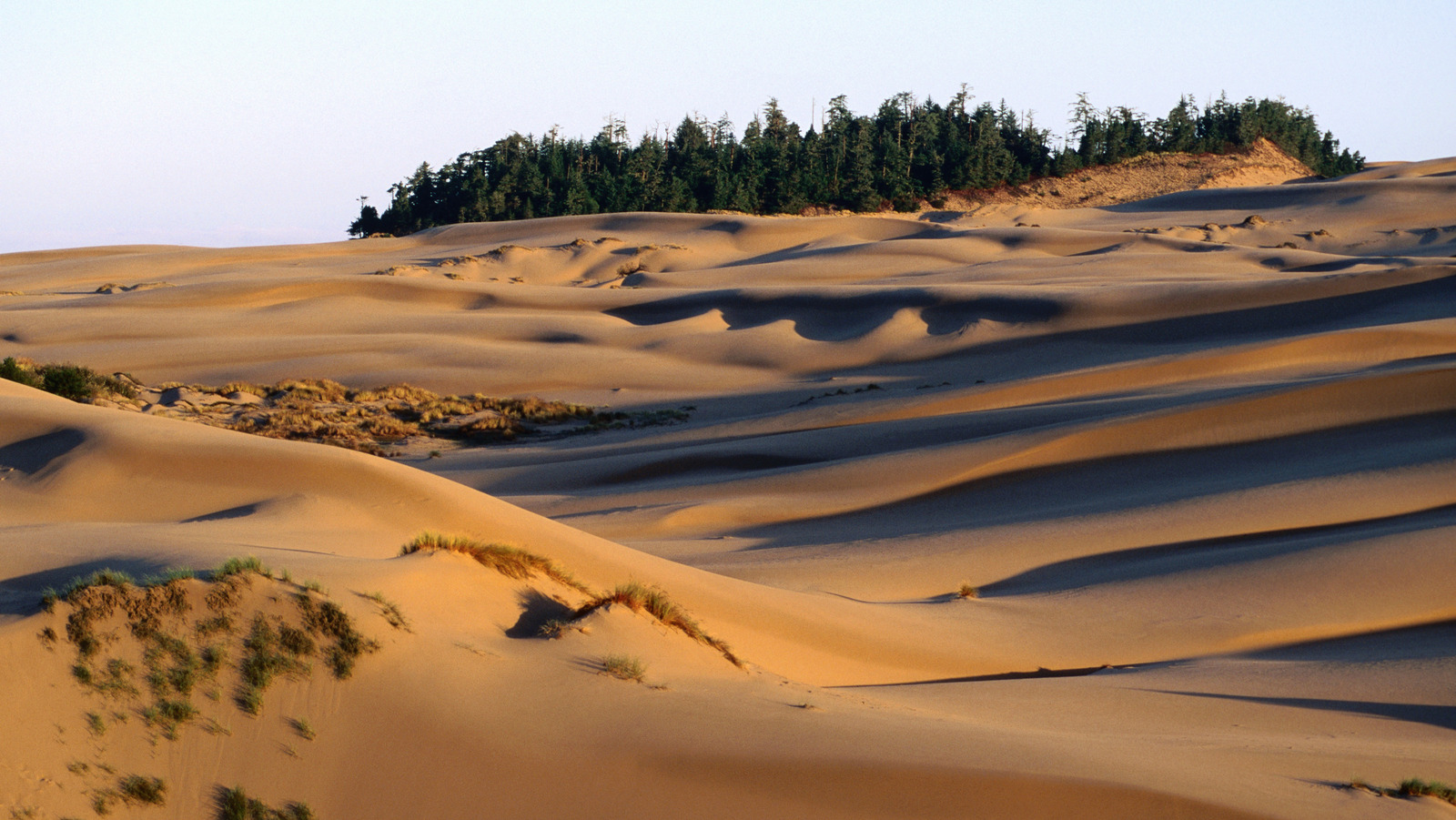 Escape Into Oregon's Sandy Dunes At This RV Park With Nearby Hikes ...