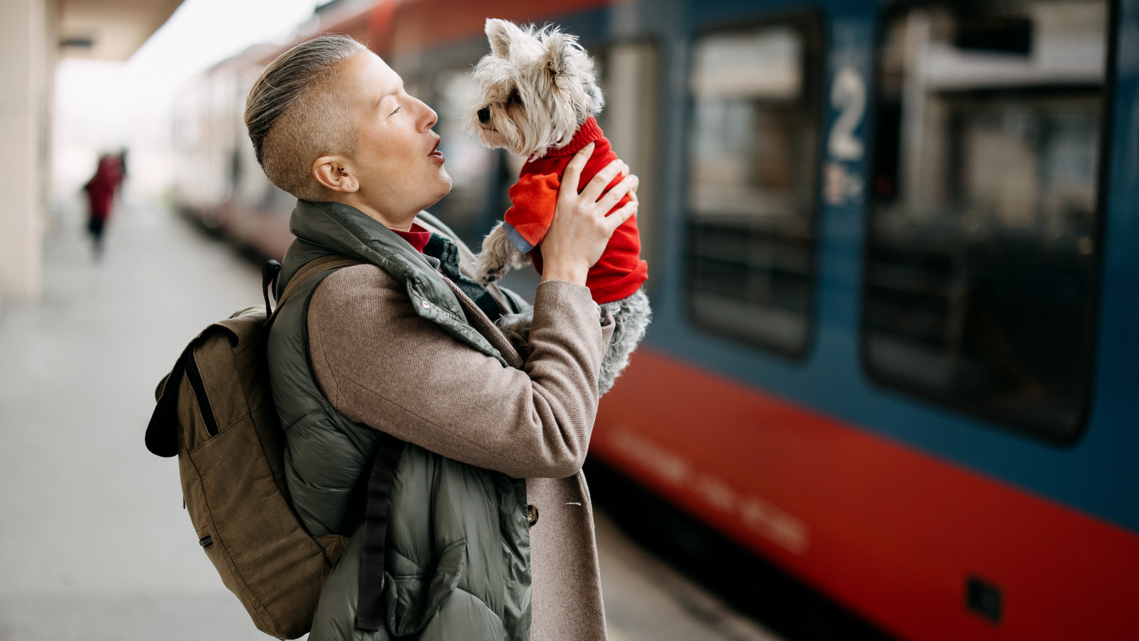 A Guide To Traveling By Train With Your Pets