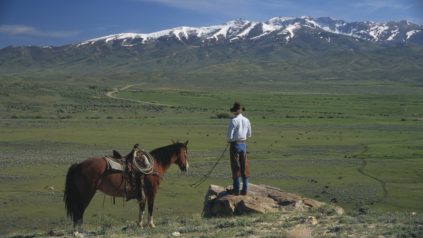 Experience Authentic Cowboy Country And Spectacular Views In Elko, Nevada