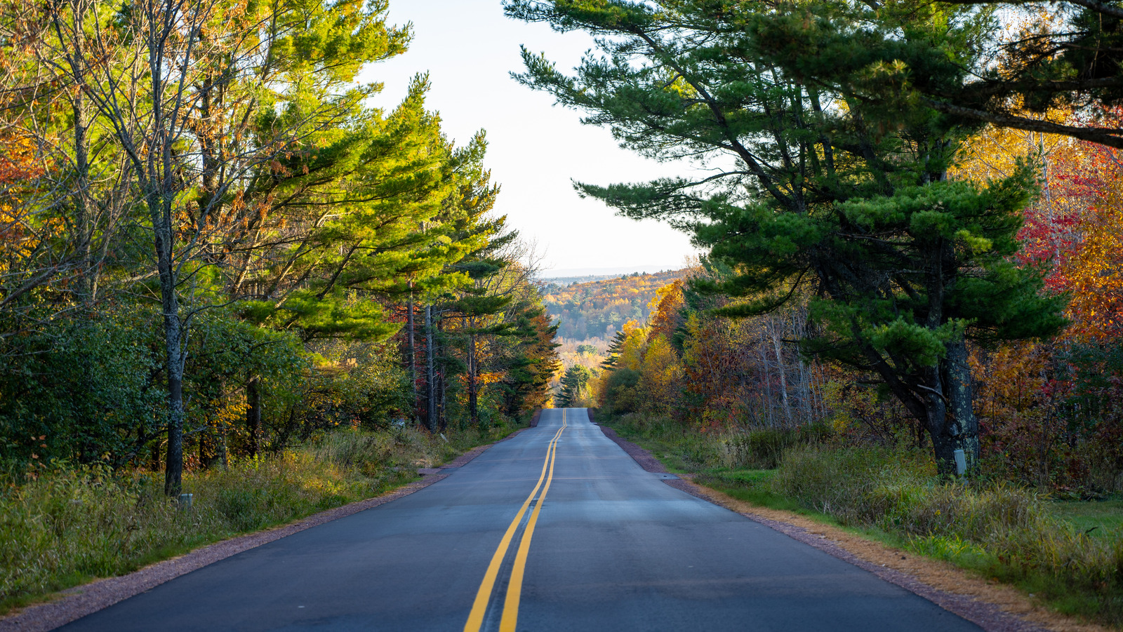 Experience The Best Of The Midwest On This Adventure-Packed Road Trip