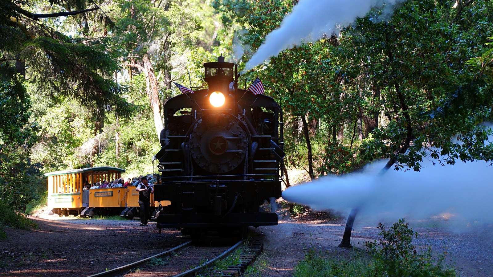 Roaring Camp Railroads Is The Perfect Family-Friendly Way To Explore ...