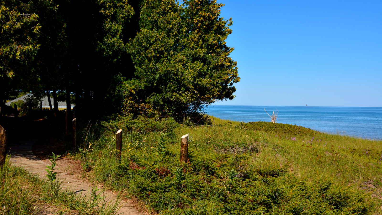 Kohler-Andrae State Park Might Be The Most Underrated Park In The Midwest