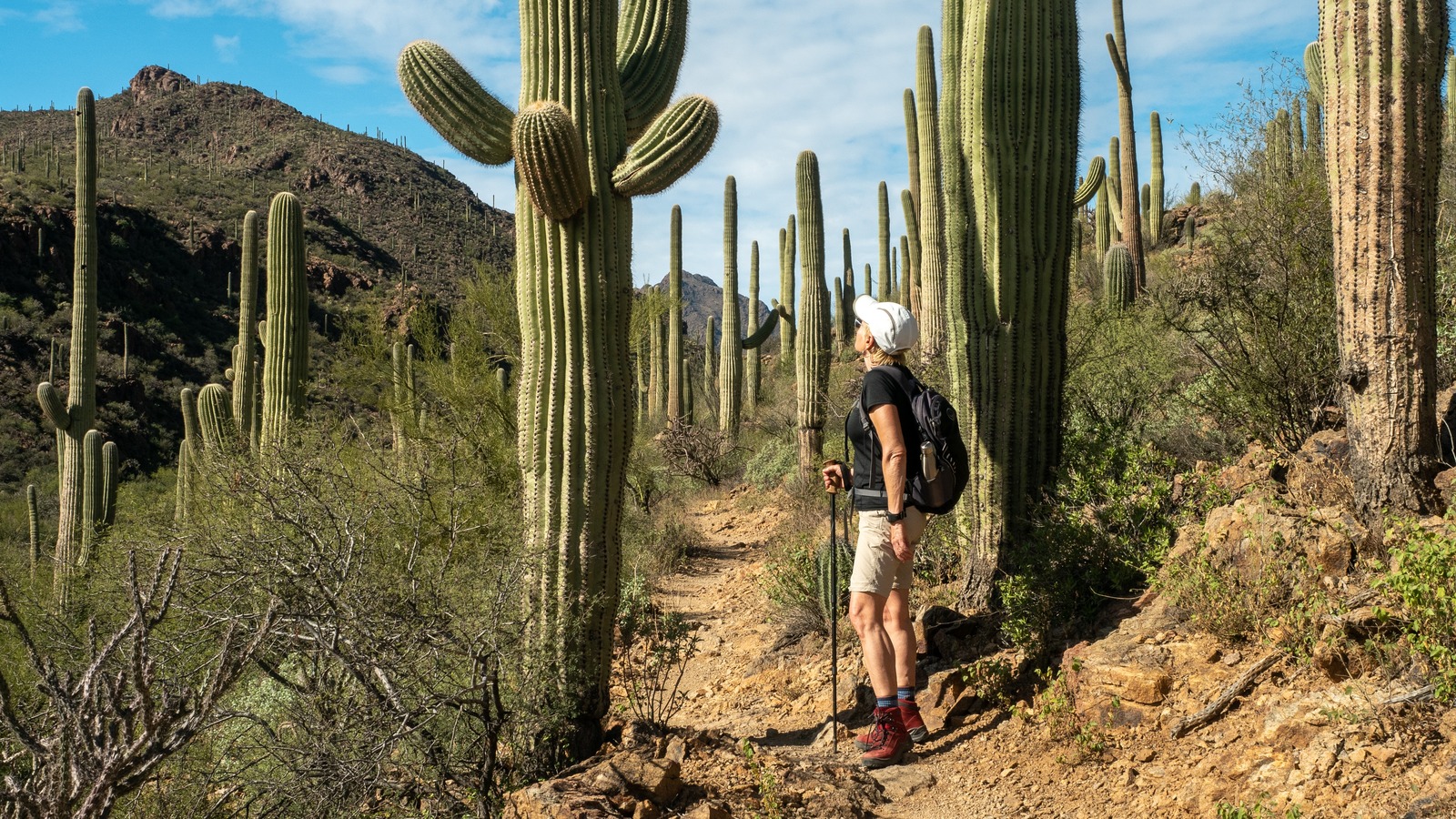 Hike The Gila Trail To Explore Arizona's Breathtaking Scenery