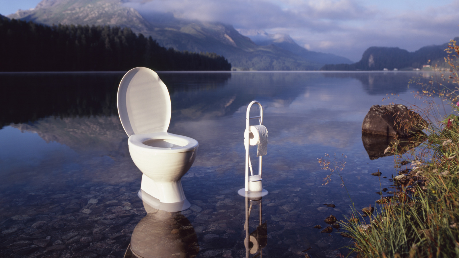 Finding These 21 Most Bizarre Bathrooms Should Be On Any Traveler's ...