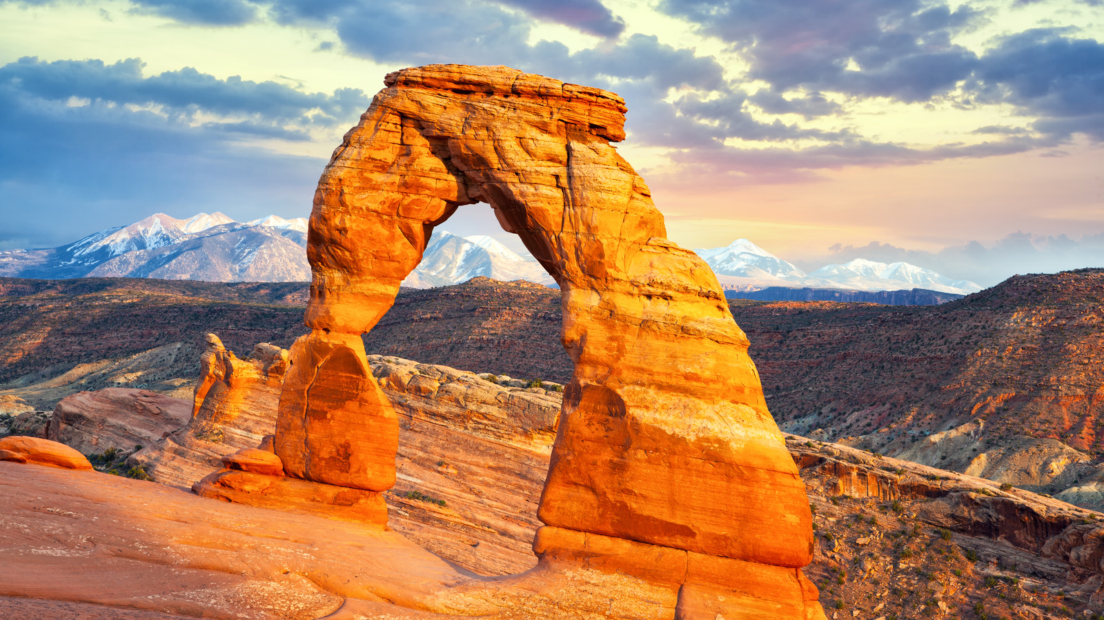 Fund A Film Starring Edward Abbey