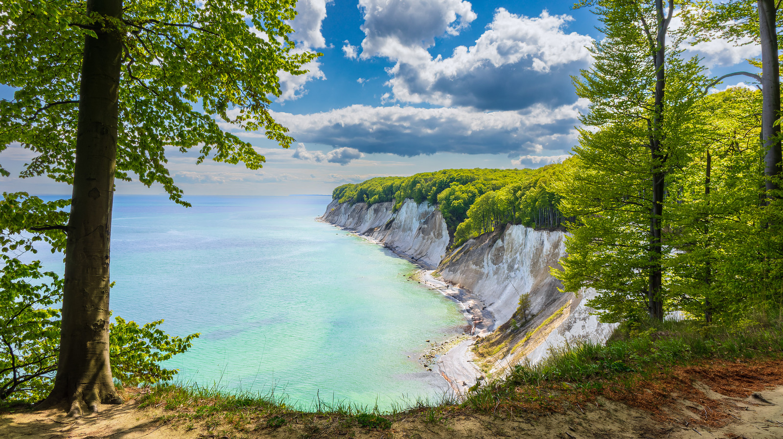 Germany's Jasmund National Park Is An Underrated Beauty With White Cliffs