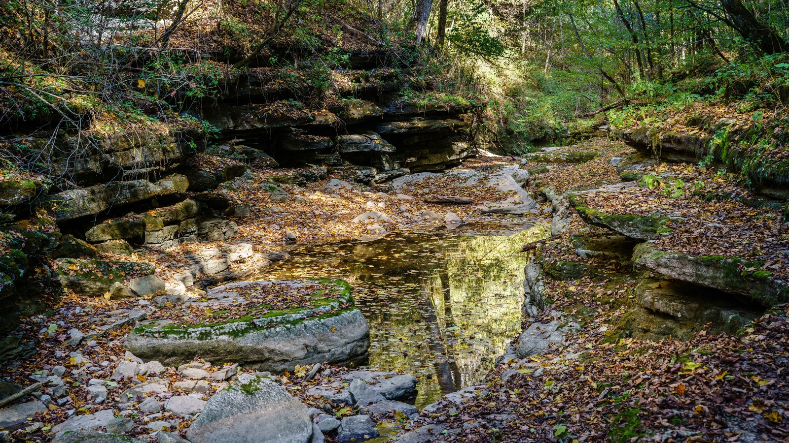 Hikers Deserve To Know About This Secret Nature Sanctuary With Great Trails