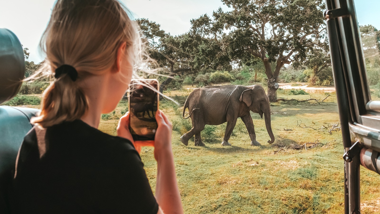 The Benefits Tourists Enjoy With Electric Safari Vehicles In Kenya