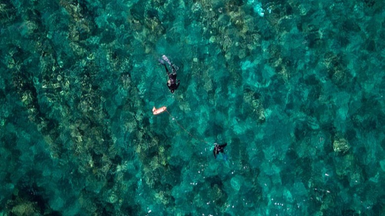 Most Dangerous Islands In The World