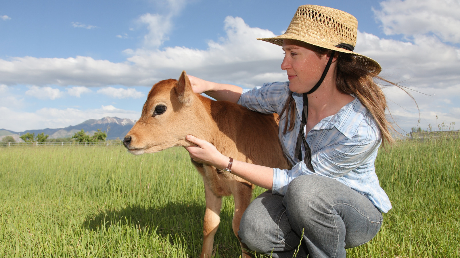 Most Vegan And Vegetarian-Friendly Cities To Visit In Europe