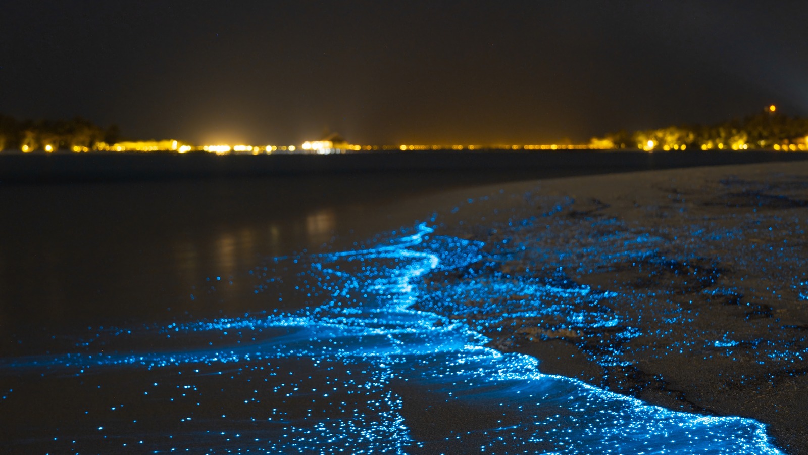 Nature's Most Beautiful Nighttime Wonder With A Bioluminescent Glow Shines In The Maldives