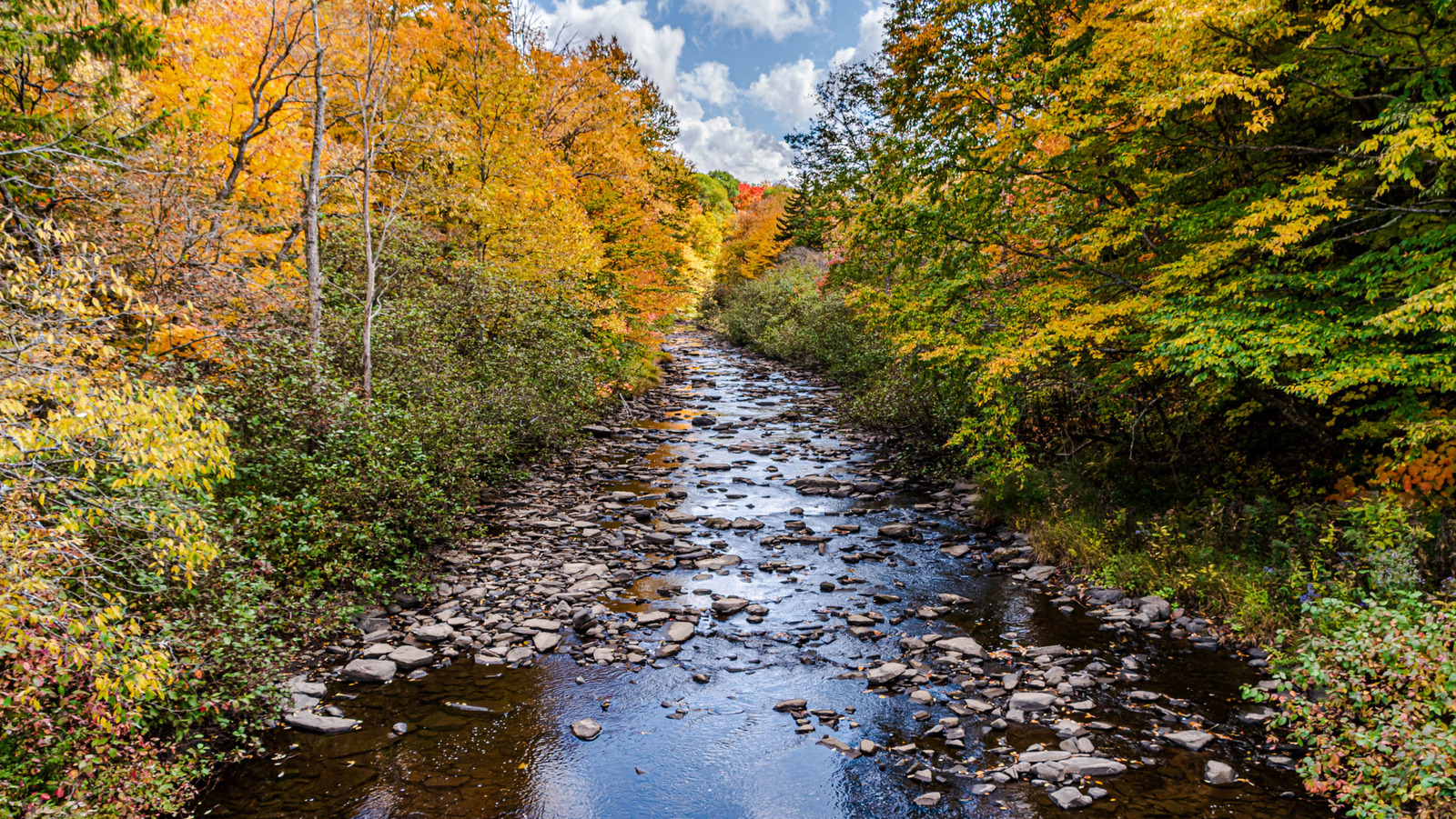 New York's Woodsy Hiking Trail Is Full Of Gorgeous Fall Foliage And ...