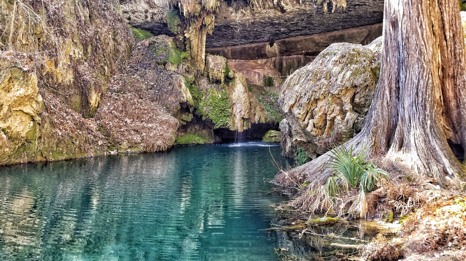 One Hidden Texas Gem Offers A Scenic Nature Excursion With Hiking ...