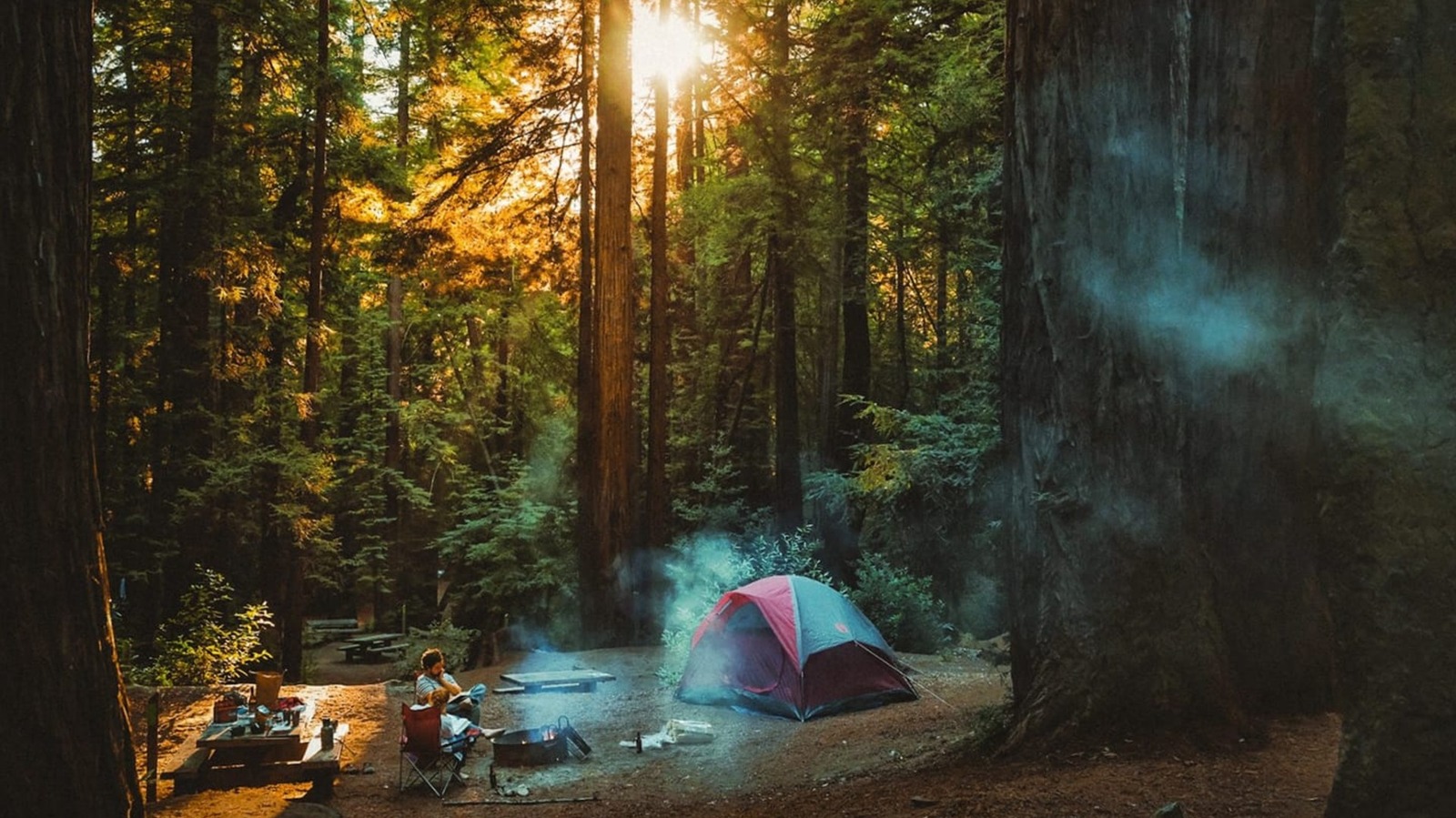 California's Ventana Campground Offers A Luxurious Redwood Escape
