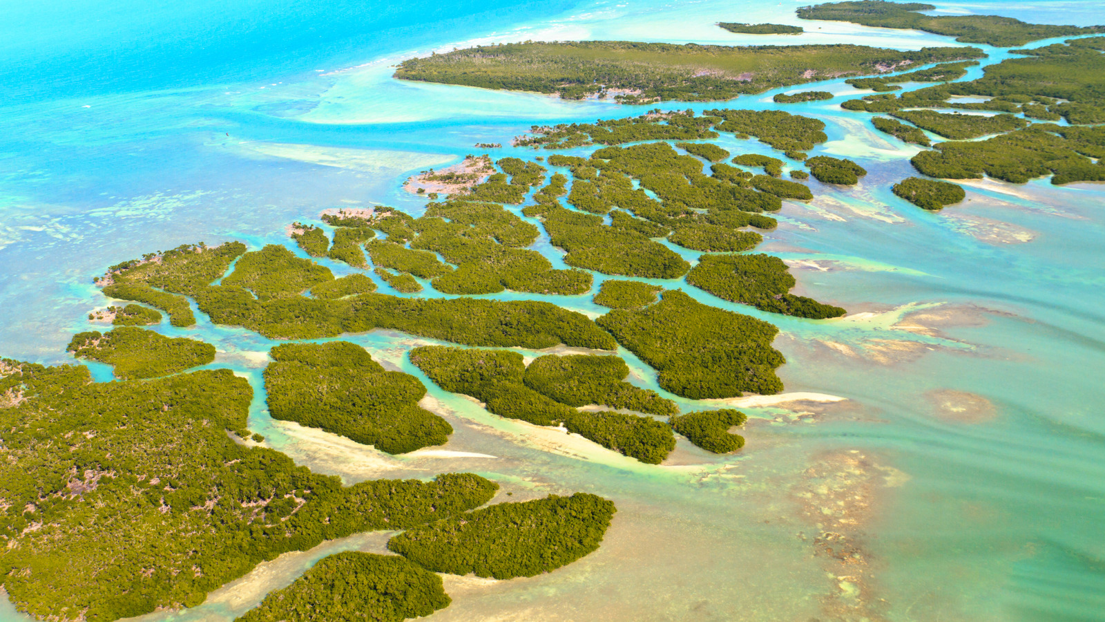 One Of Florida's Best-Kept Secrets Is A Series Of Serene Islands With ...